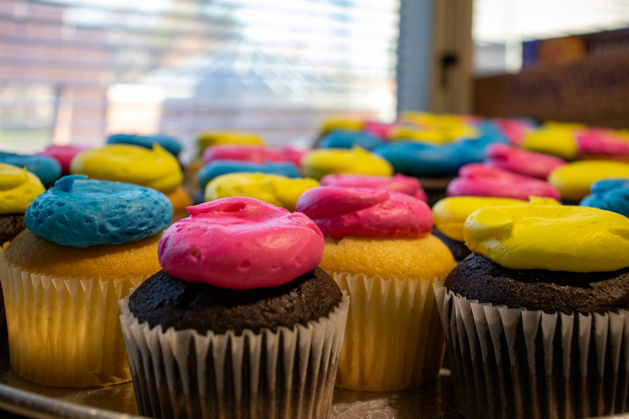 2024_IMG Thank You Party_WEB_Picks-01 – Making the Rounds